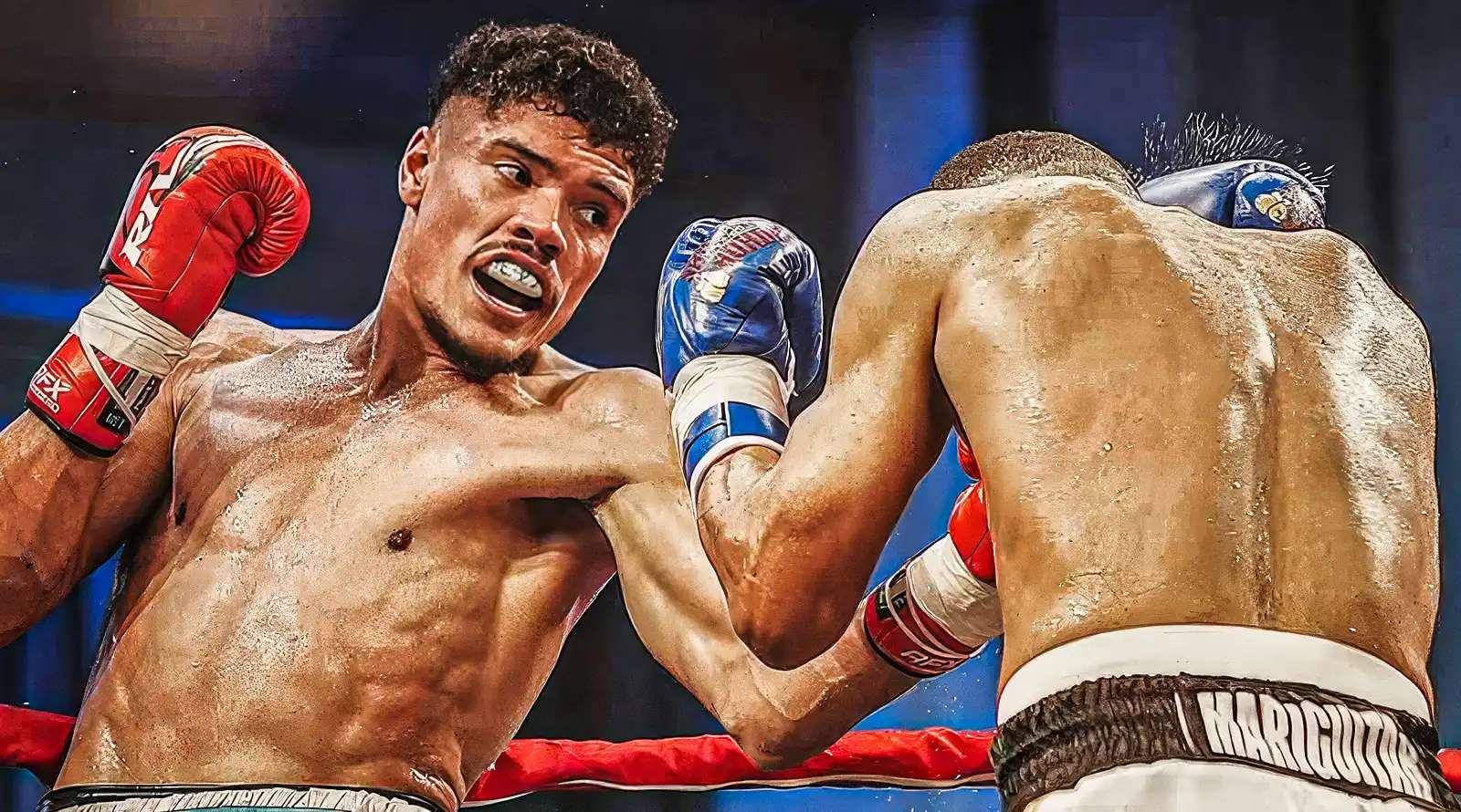 Amilcar Vidal | Boxing News